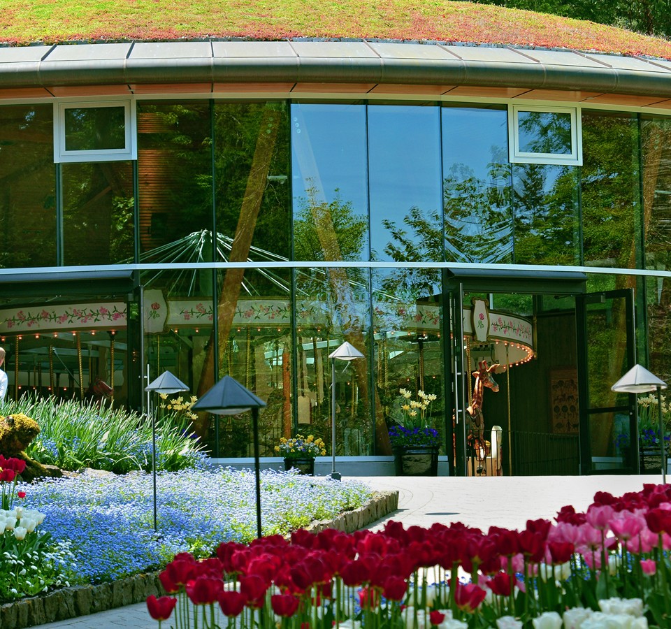 Rose Carousel - The Butchart Gardens