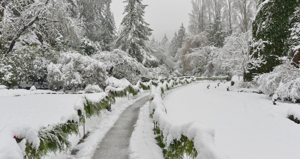 The Butchart Gardens – Victoria, Canada – Visiting in the Winter