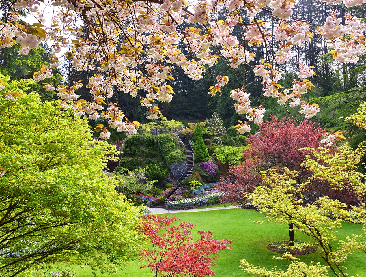 The Butchart Gardens – Victoria, Canada – Sunken Garden