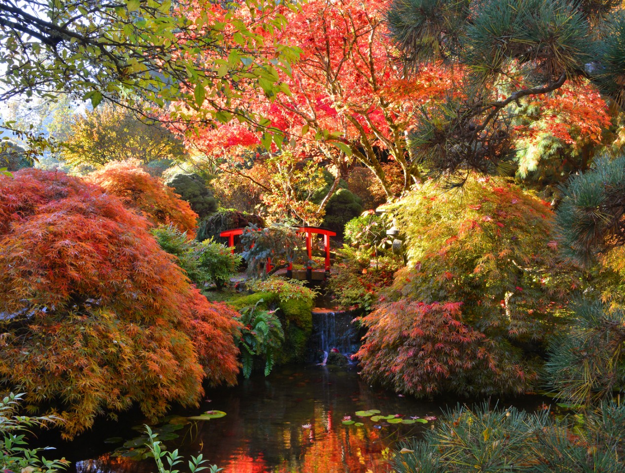The Butchart Gardens – Victoria, Canada – Visiting in the Fall