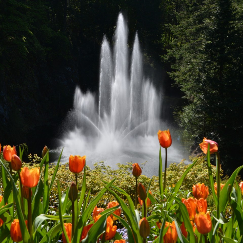 The Butchart Gardens – Victoria, Canada – Visiting in the Spring