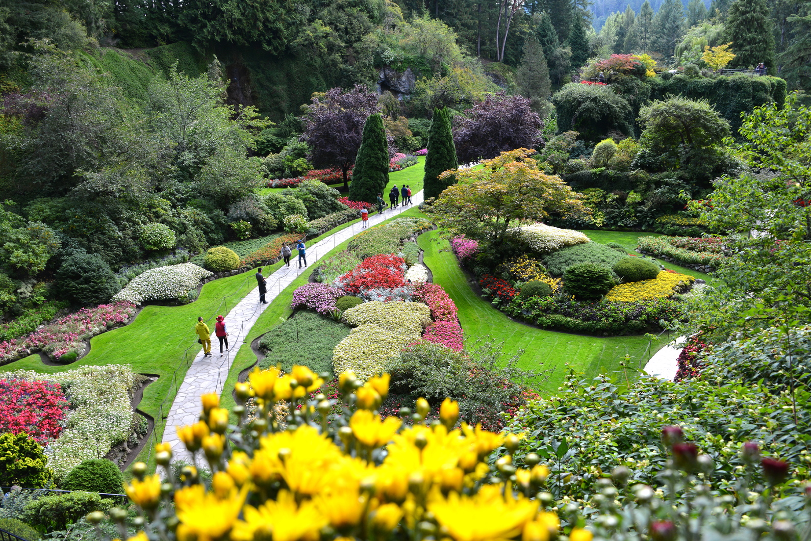 Butchart Gardens Facts | Fasci Garden