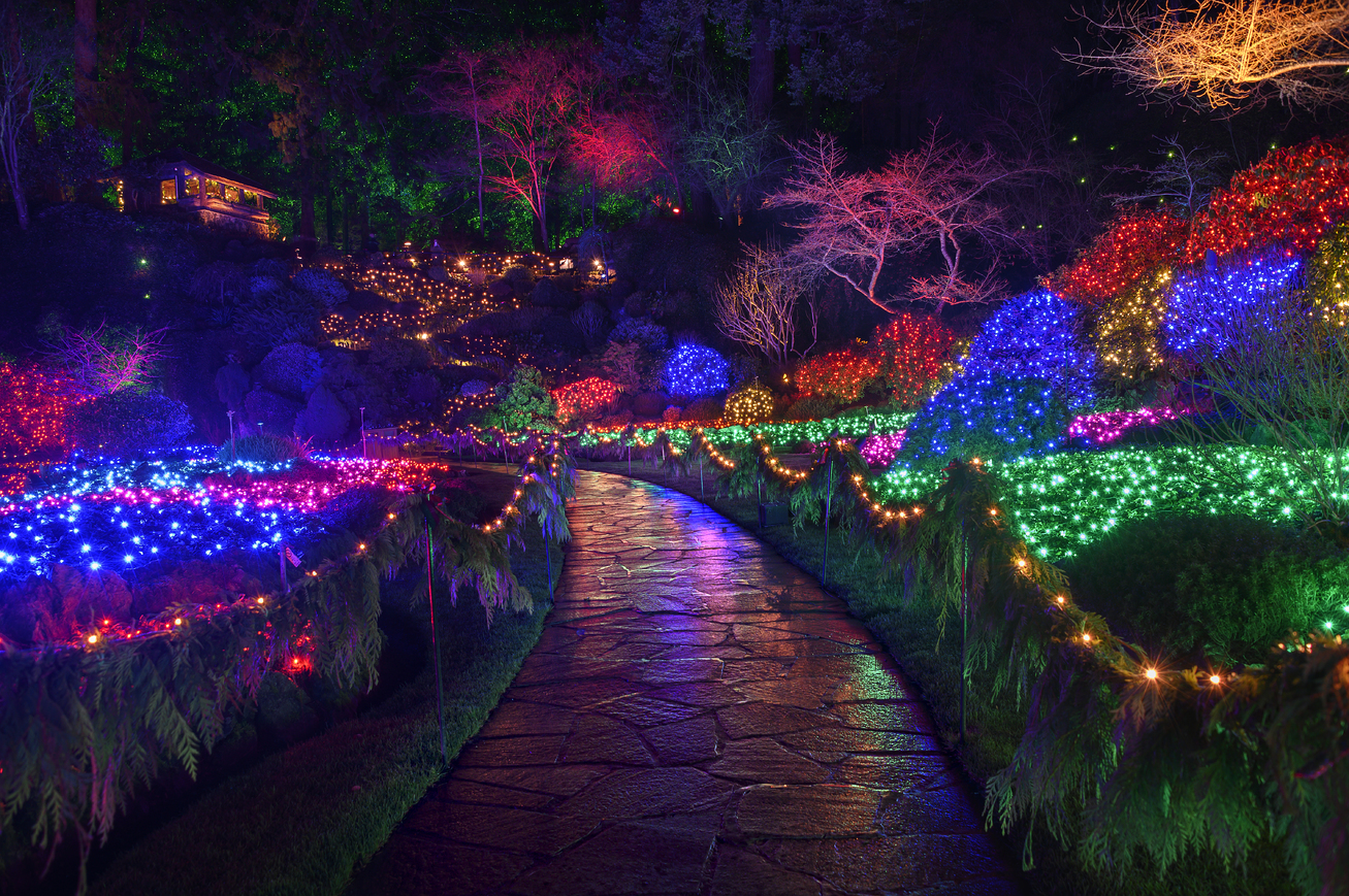 Lights Display The Butchart Gardens