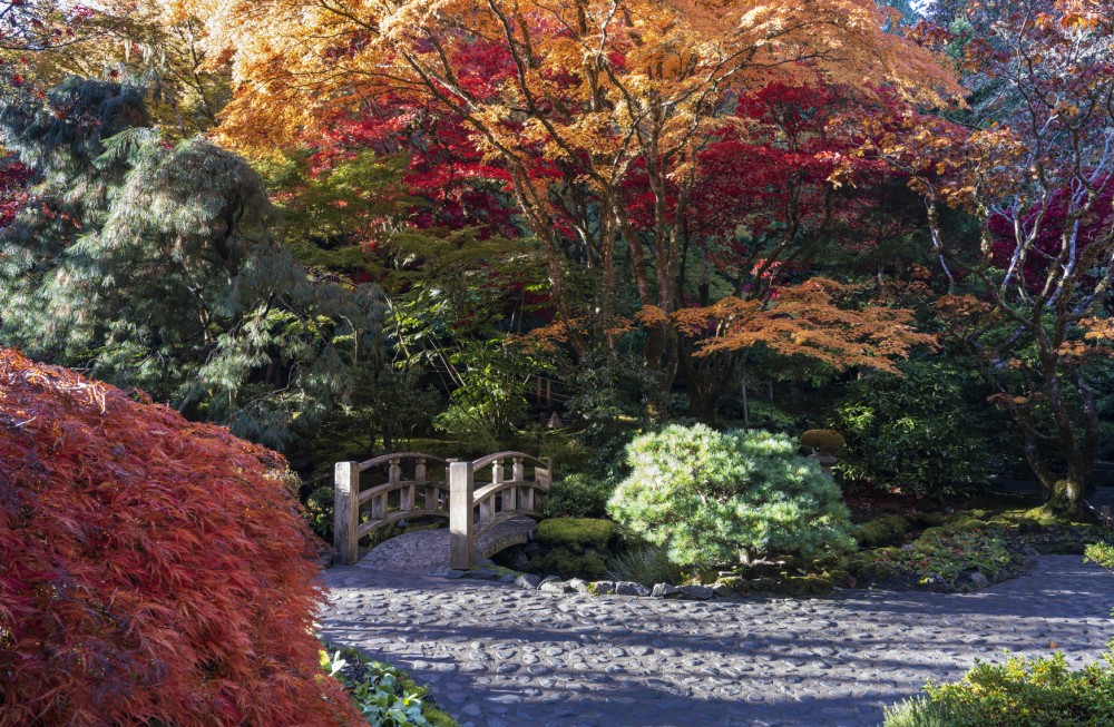 The Butchart Gardens – Victoria, Canada – Visiting in the Fall