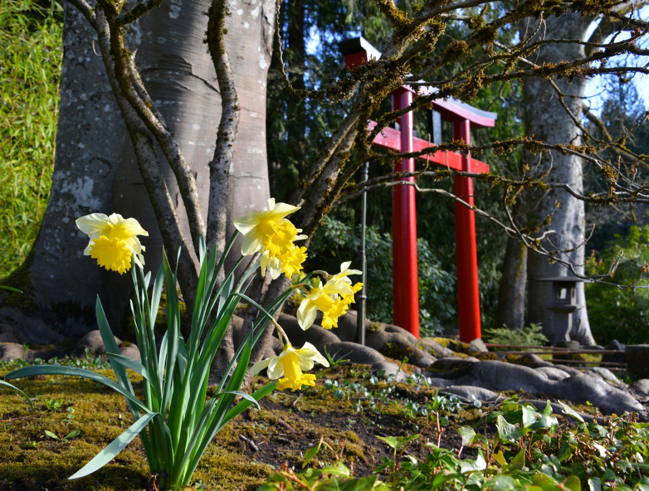 The Butchart Gardens – Victoria, Canada – Visiting in the Spring