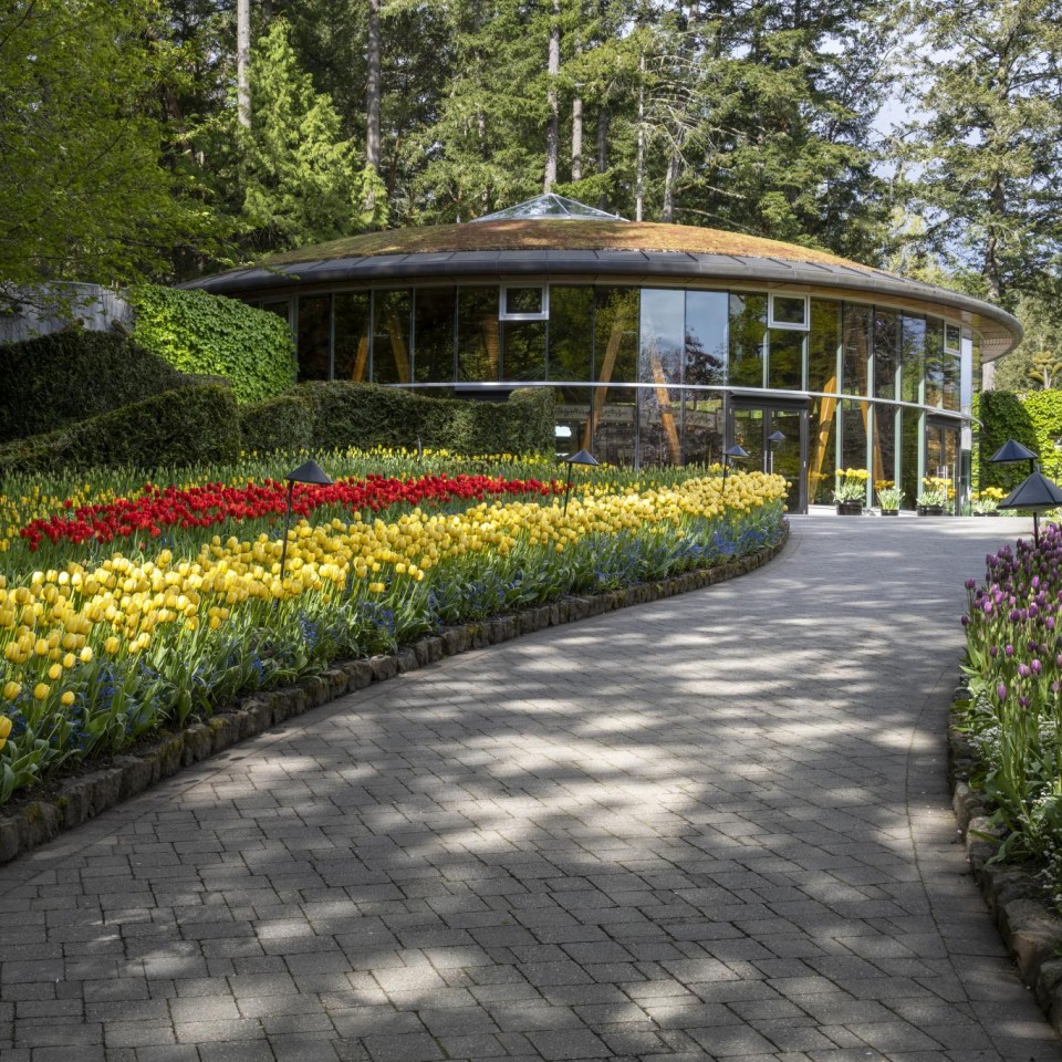 Rose Carousel - The Butchart Gardens