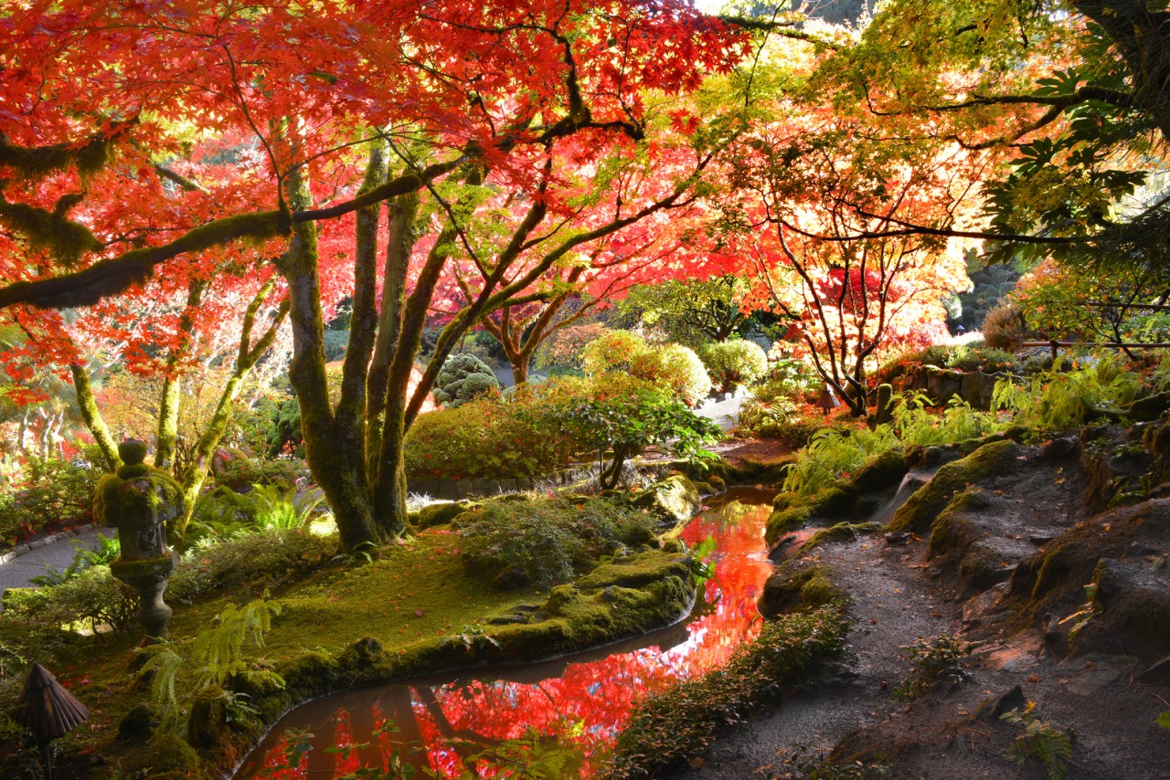 Autumn Garden Insights 2022 - The Butchart Gardens