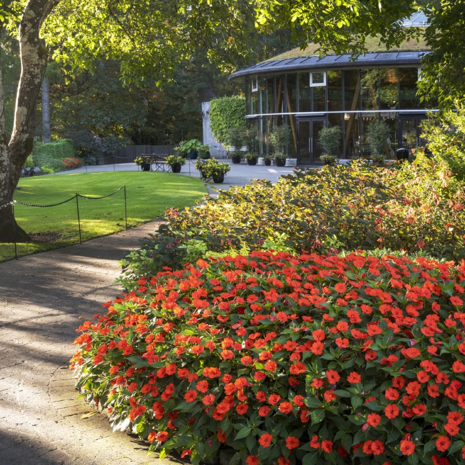 Rose Carousel - The Butchart Gardens