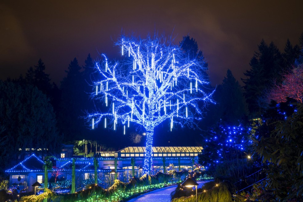 Blog - The Butchart Gardens