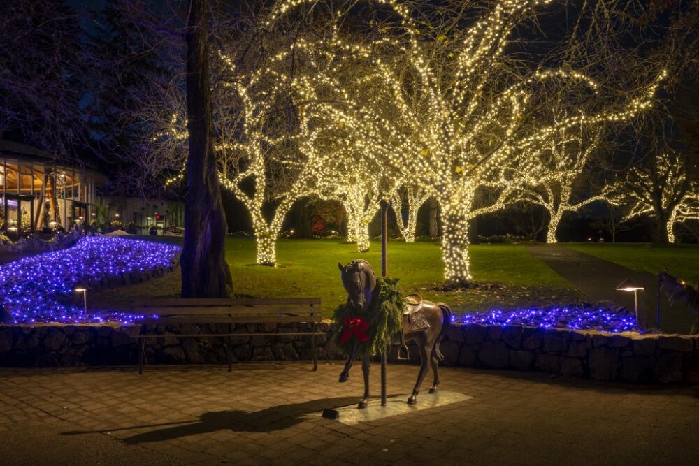 Rose Carousel - The Butchart Gardens
