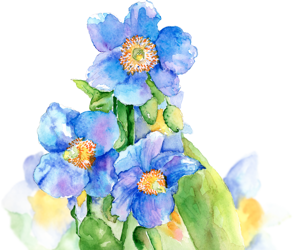 The Blue Poppy Restaurant - The Butchart Gardens