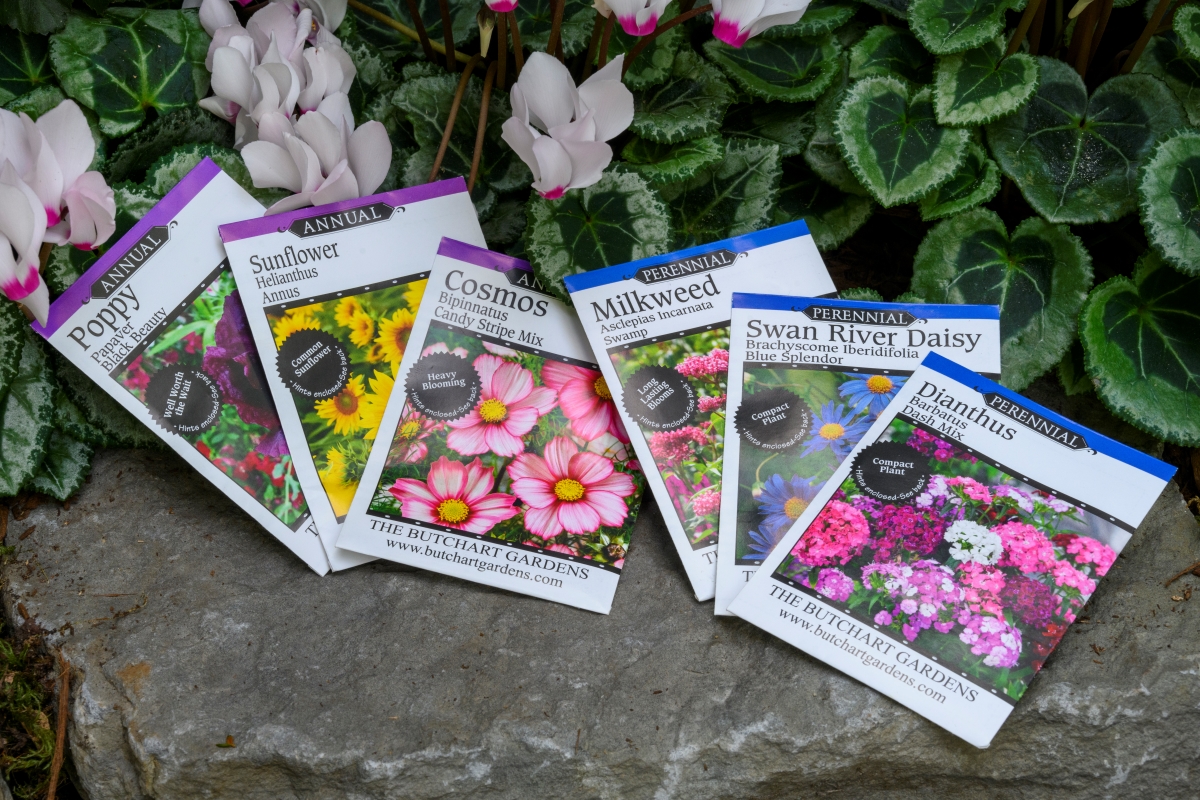 Shopping Inspiration: Seed Packages - The Butchart Gardens