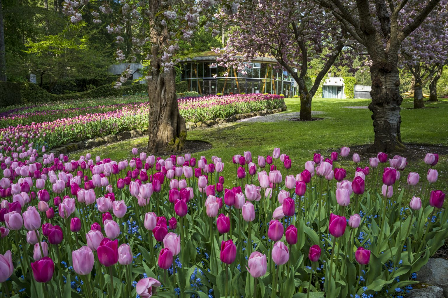 Rose Carousel - The Butchart Gardens