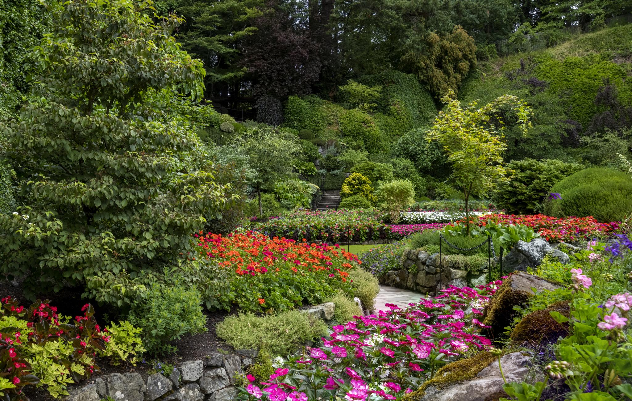 Sunken Garden - The Butchart Gardens