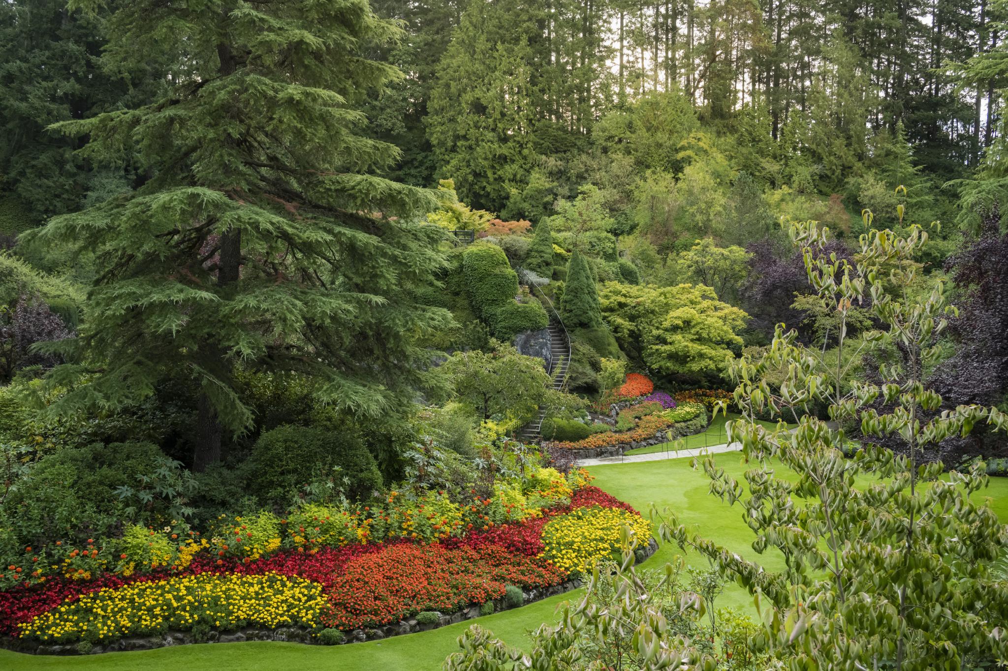 Water Overlooking Butchart Gardens Winter Sunken Garden Stock