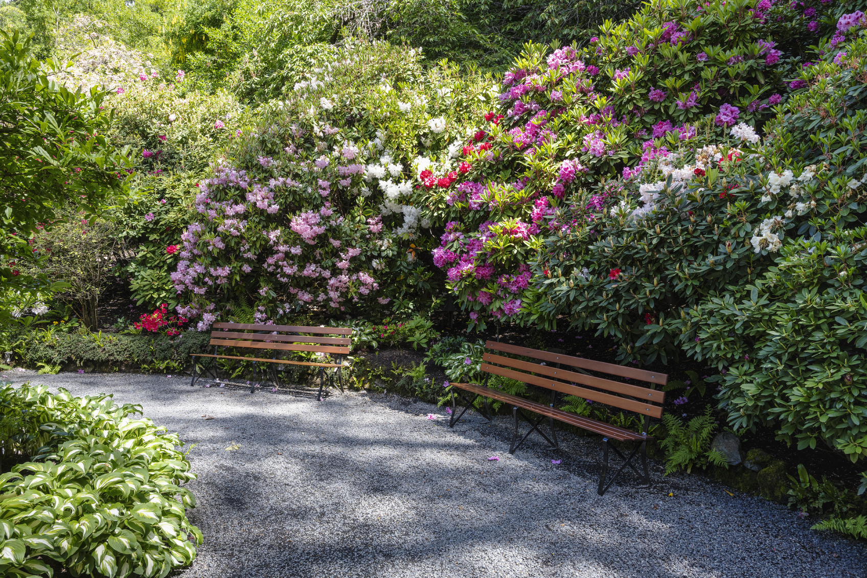 Spring Garden Insights 2023 - The Butchart Gardens
