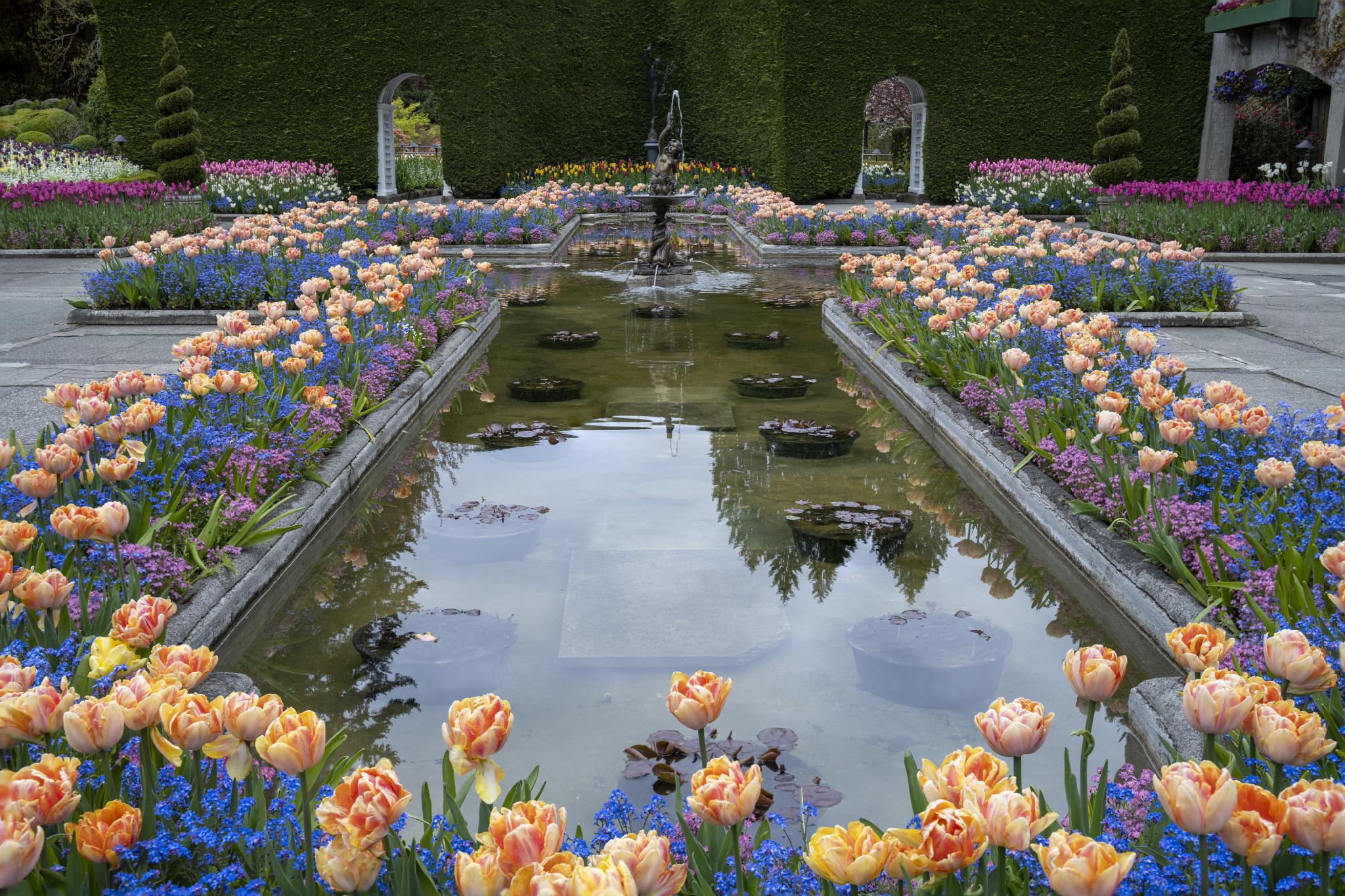 Spring Garden Insights 2023 - The Butchart Gardens