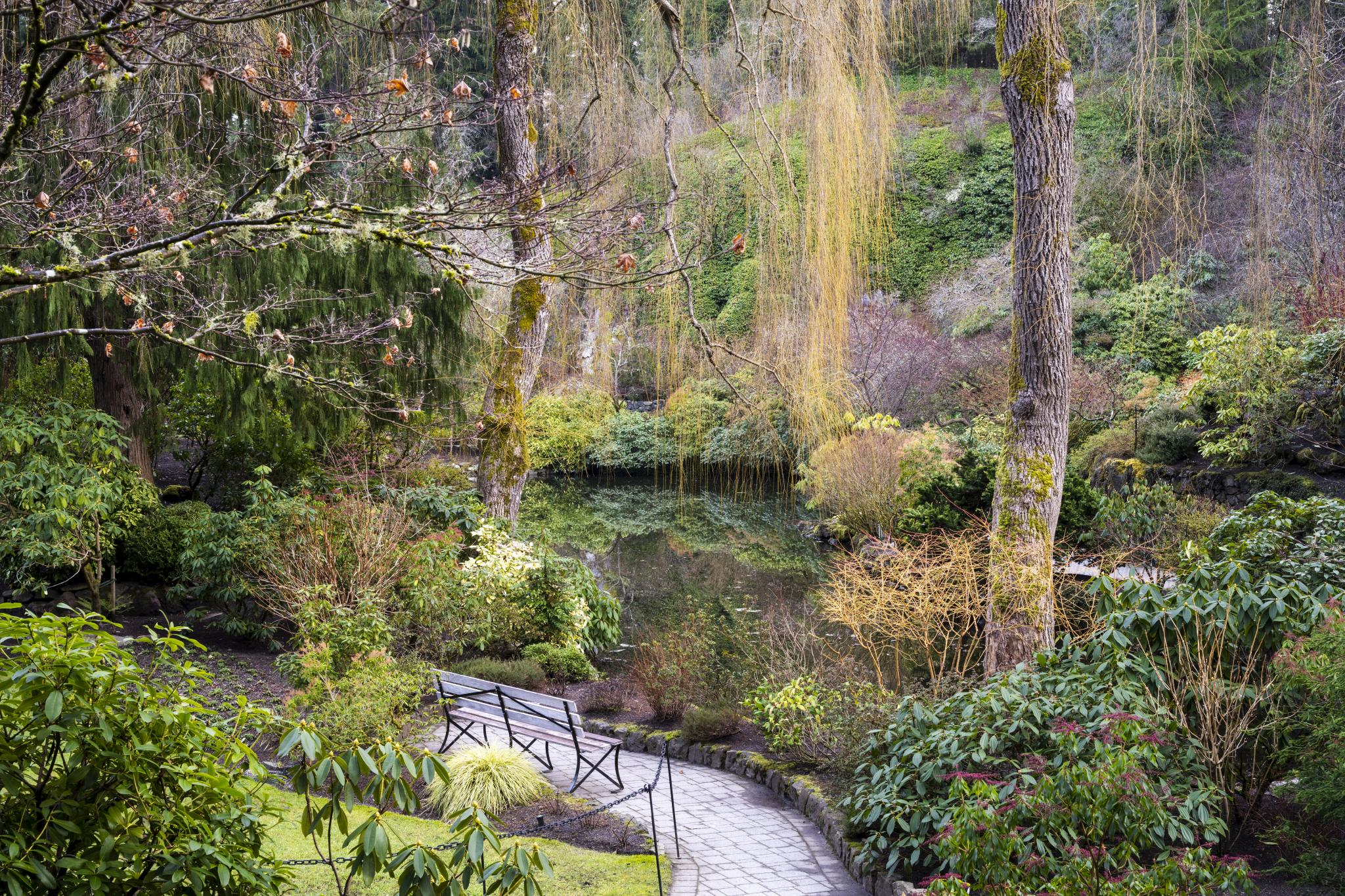 Winter Garden Insights 2023 - The Butchart Gardens