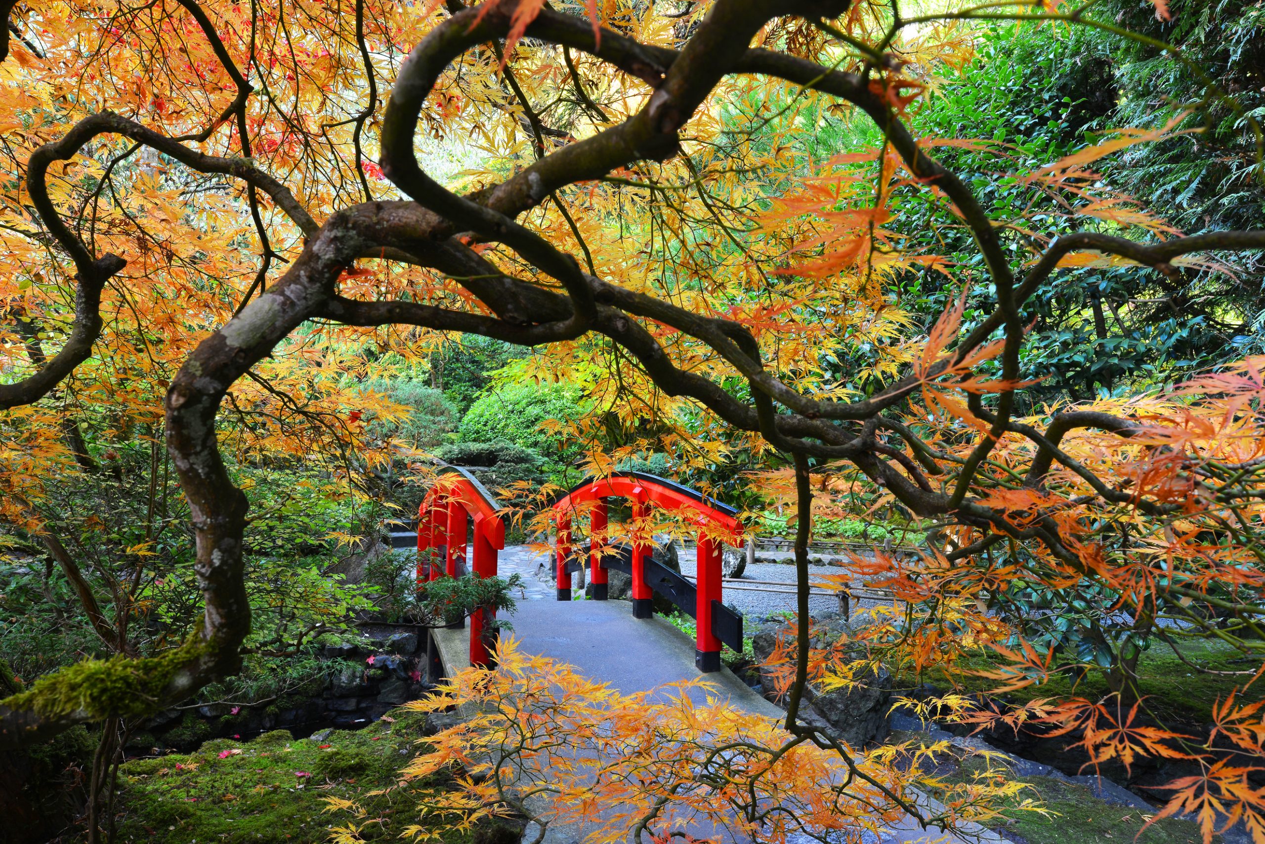 Butchart Gardens Fall Colors Fall Colours In The Butchart Gardens On