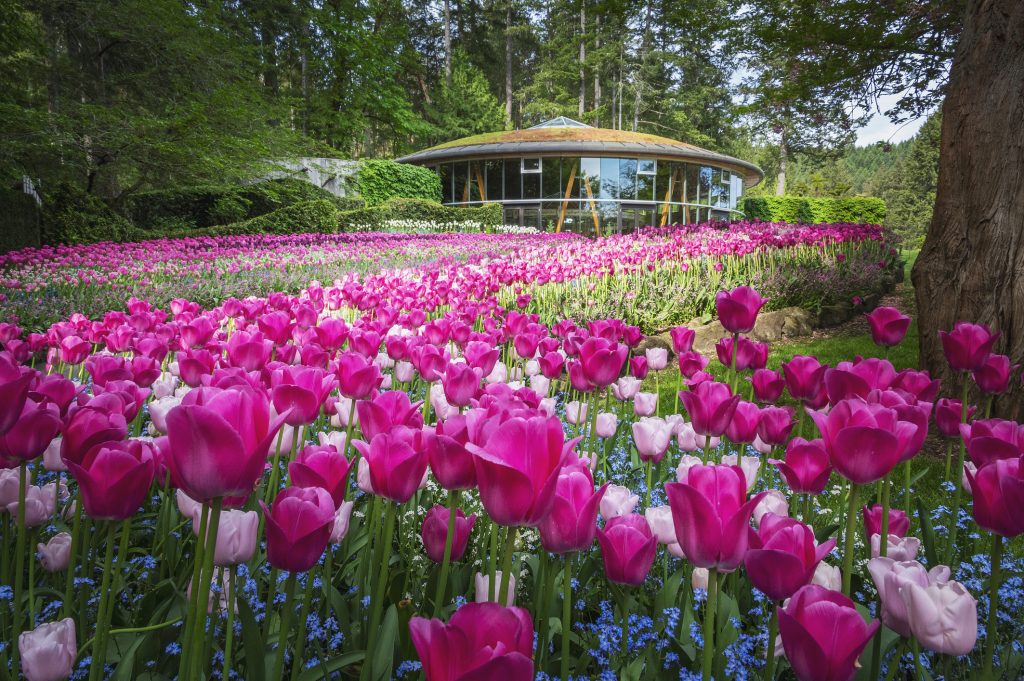 Spring - The Butchart Gardens