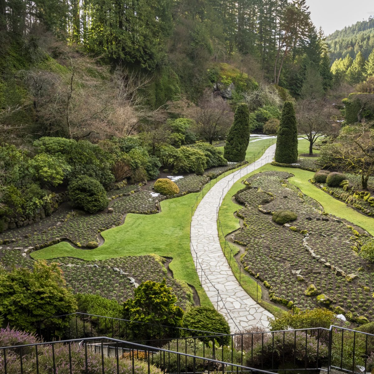 Plant Guide - The Butchart Gardens