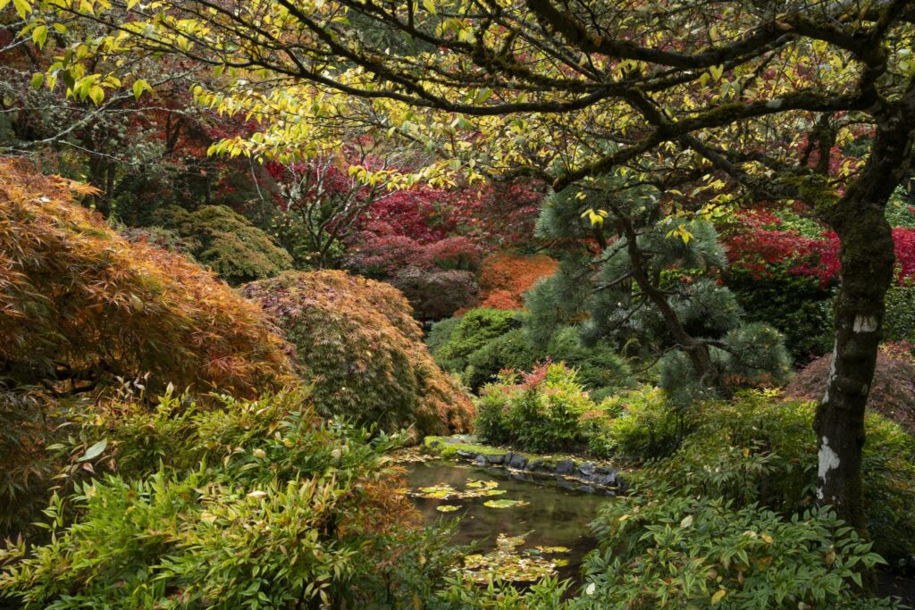Blog - The Butchart Gardens