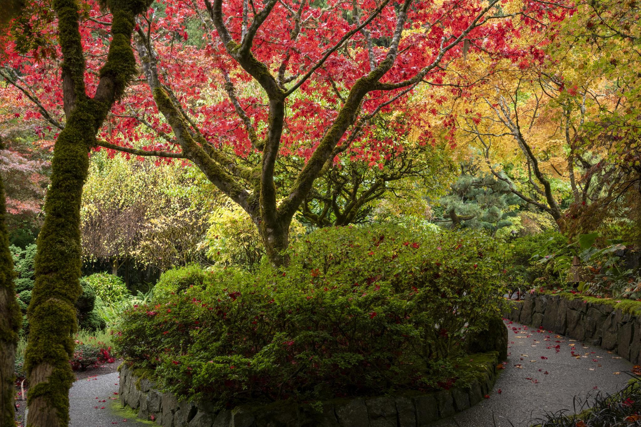 Autumn Garden Insights 2024 - The Butchart Gardens