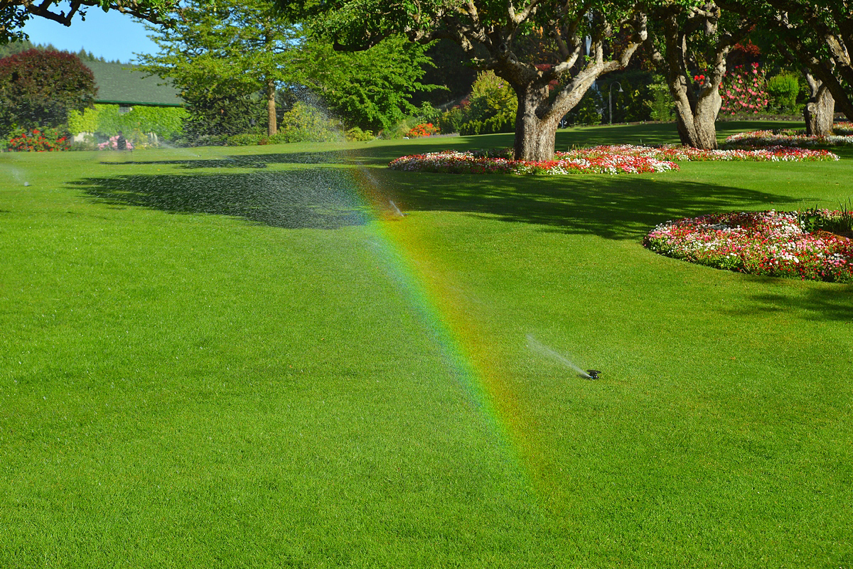Lawn Care Report - The Butchart Gardens