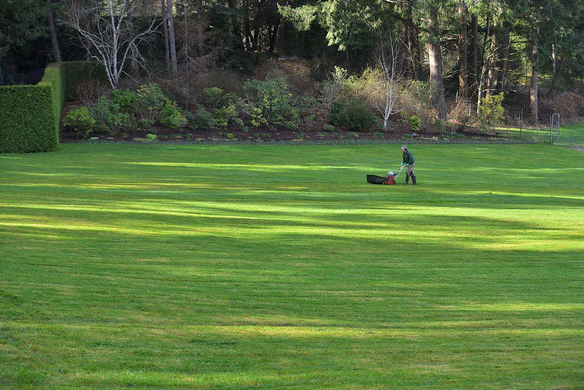 Lawn Care Report - The Butchart Gardens