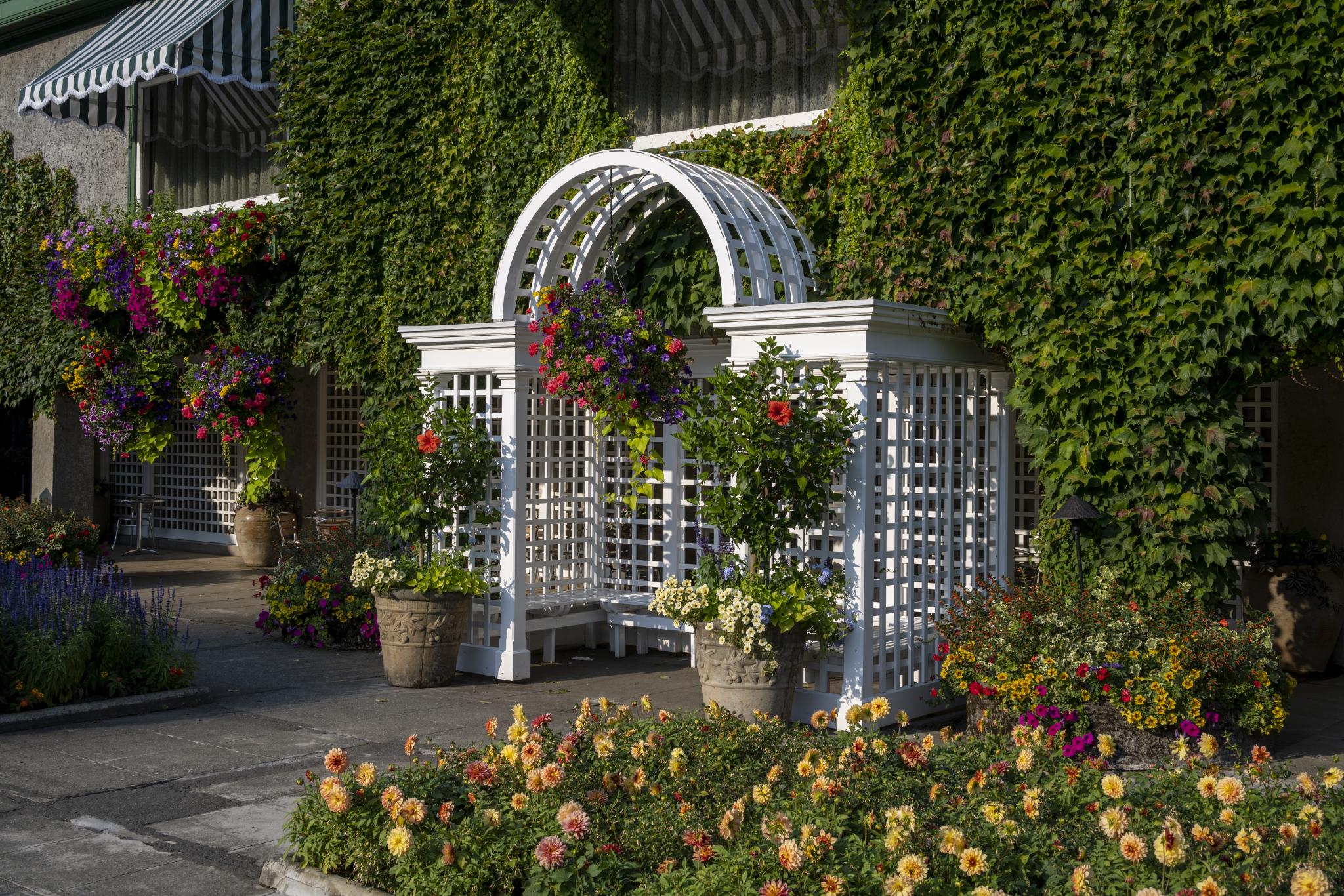 Summer Gardens Insights 2024 - The Butchart Gardens