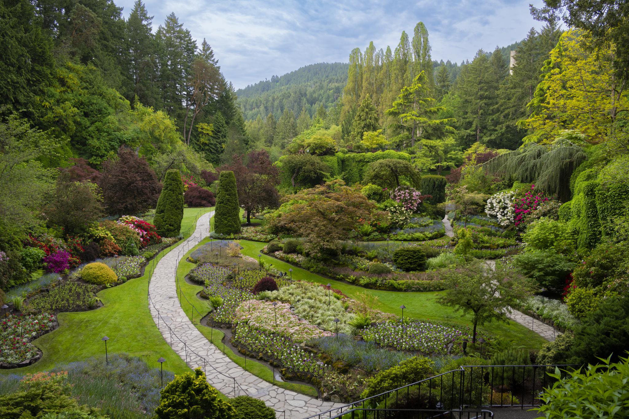 What's in Bloom Now? June Garden Report - The Butchart Gardens
