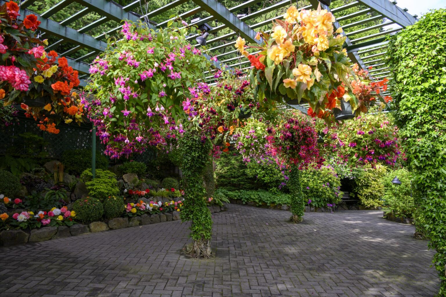 What's in Bloom? September Garden Report - The Butchart Gardens