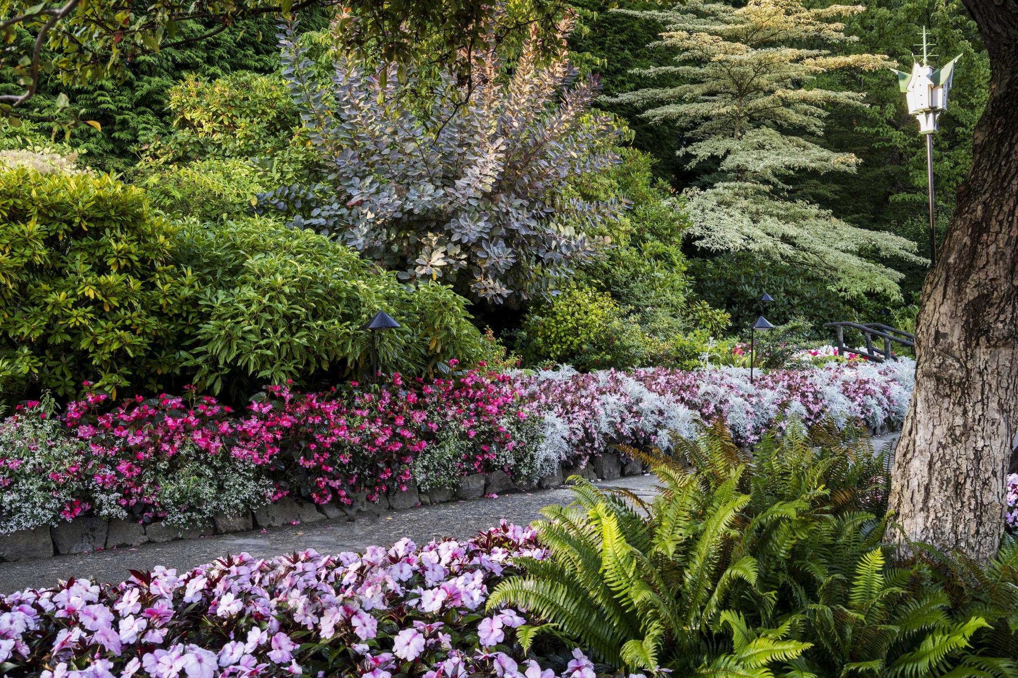 Summer Gardens Insights 2024 - The Butchart Gardens