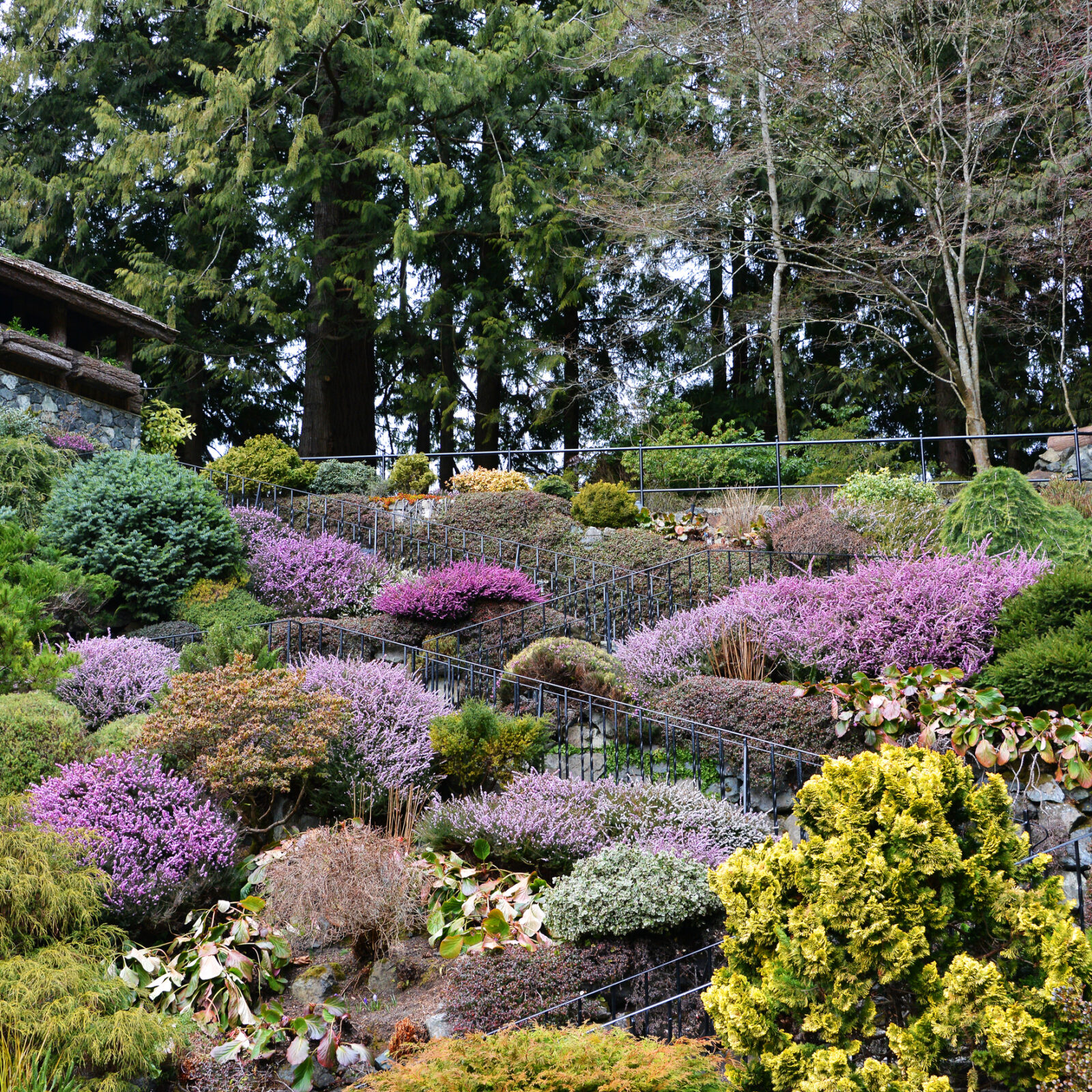 The Butchart Gardens