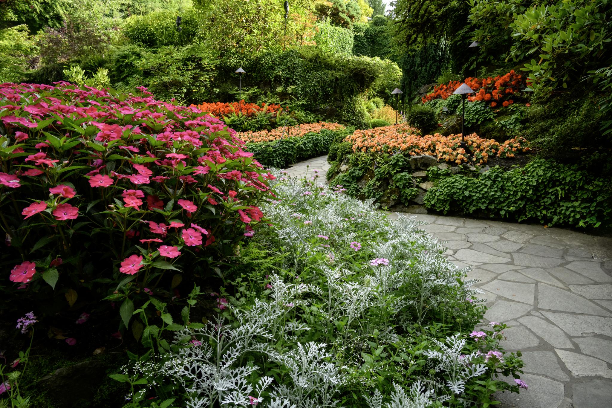 Summer Garden Insights 2025 - The Butchart Gardens