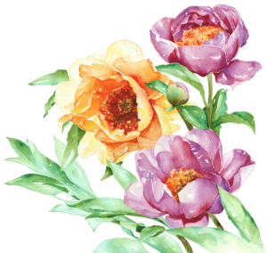 The Blue Poppy Restaurant - The Butchart Gardens